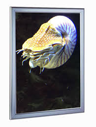 Slim LED Lighted Sign – LetterBank | MyDIYsigns